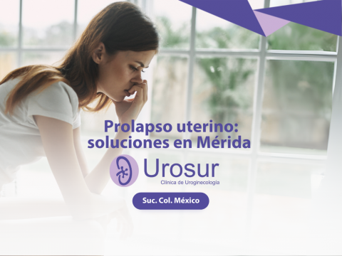 Prolapso uterino: síntomas y soluciones en Mérida - UROSUR® Clínica de ...